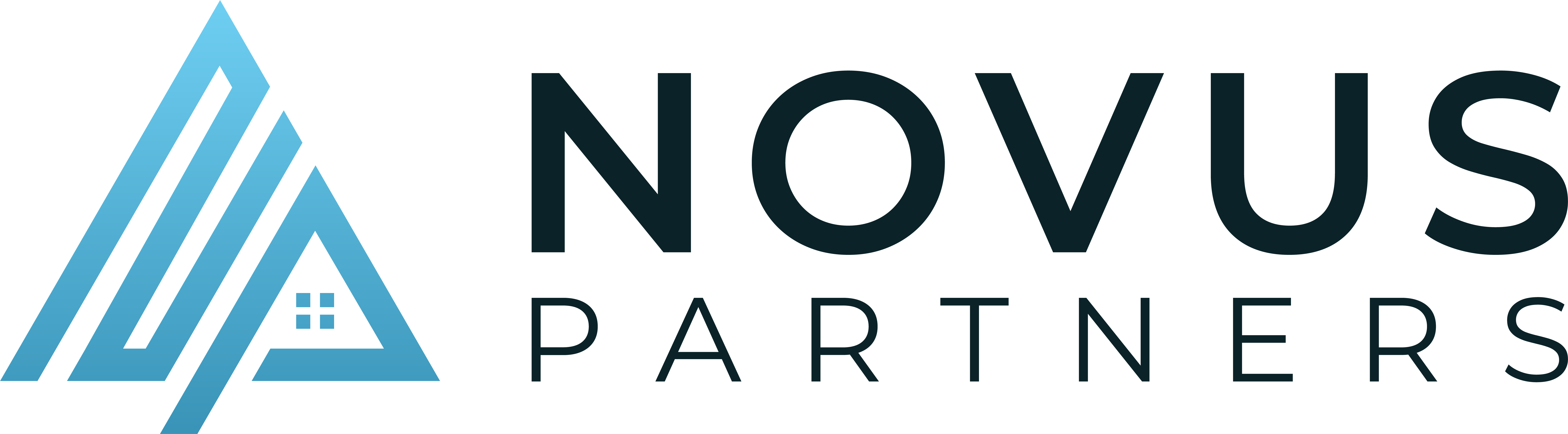 Novus Partners